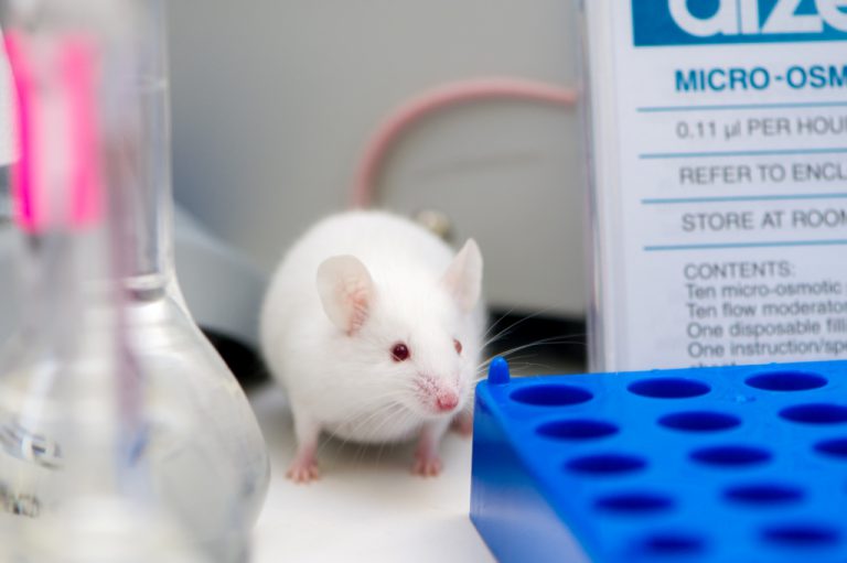 Gene Therapy Research Using ALZET® Osmotic Pumps – ALZET® Osmotic Pumps