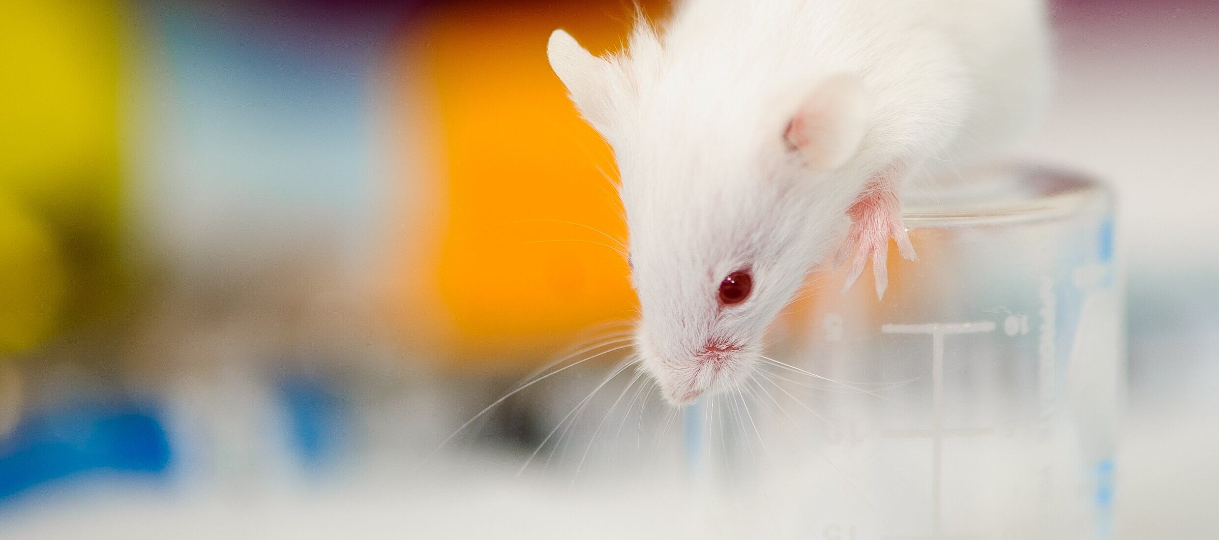 ALZET HOME - ALZET® Osmotic Pumps